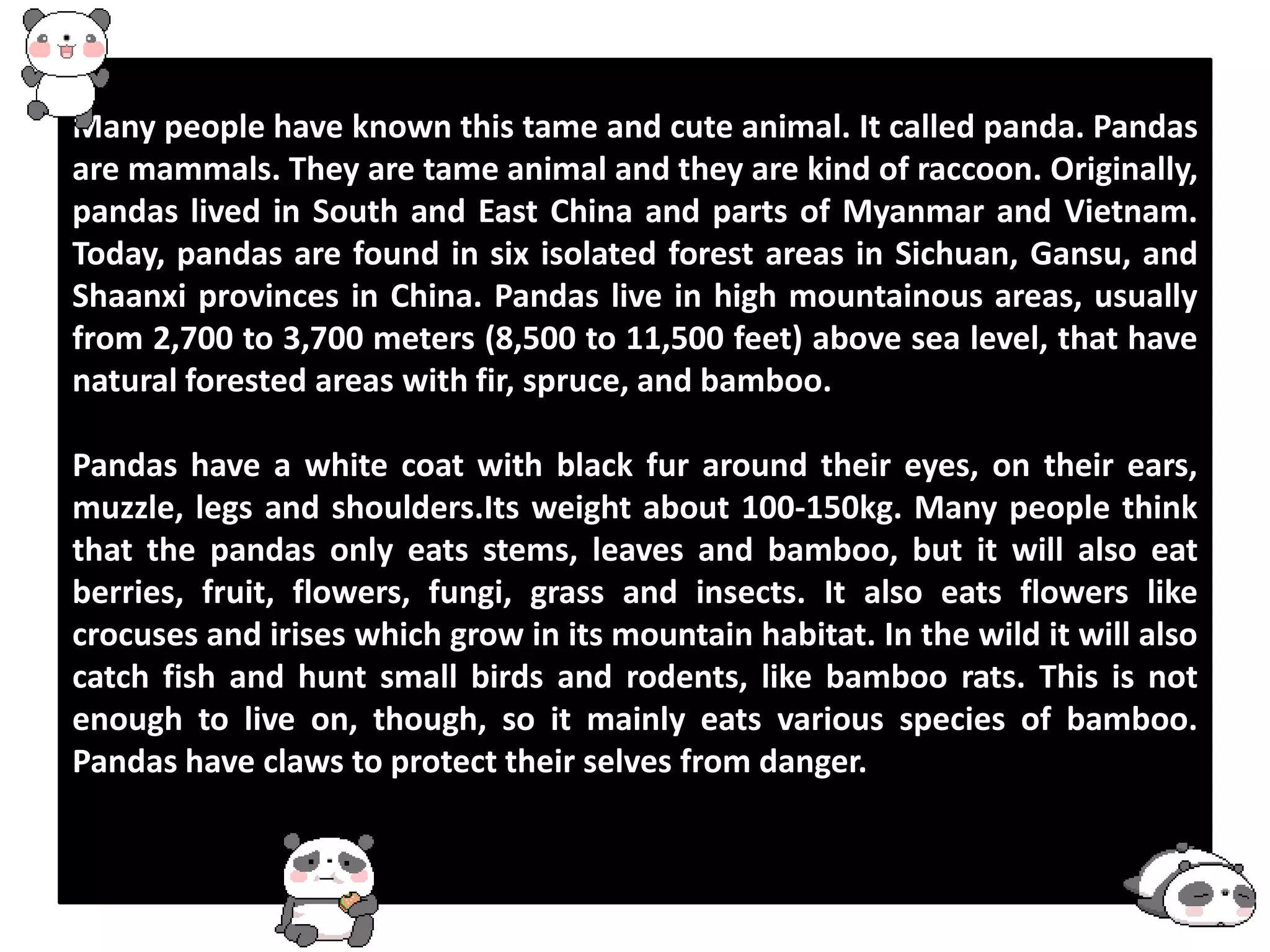 Report text about animal (panda) | PPTX