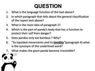 Report text about animal (panda) | PPTX