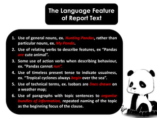 Report text about animal (panda) | PPTX