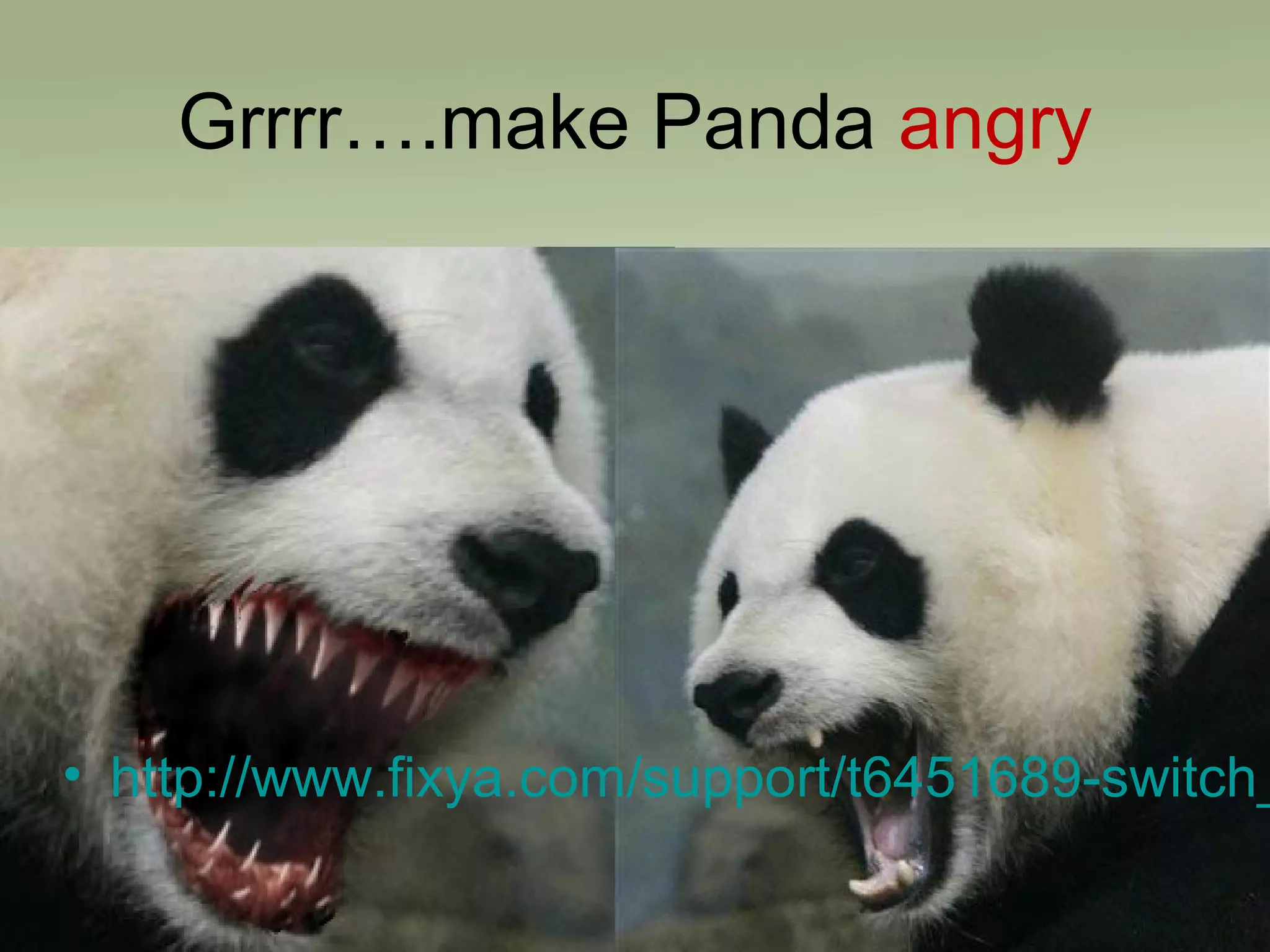 Google's Panda Algorithm | PPT
