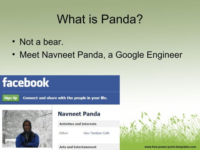 Google's Panda Algorithm | PPT