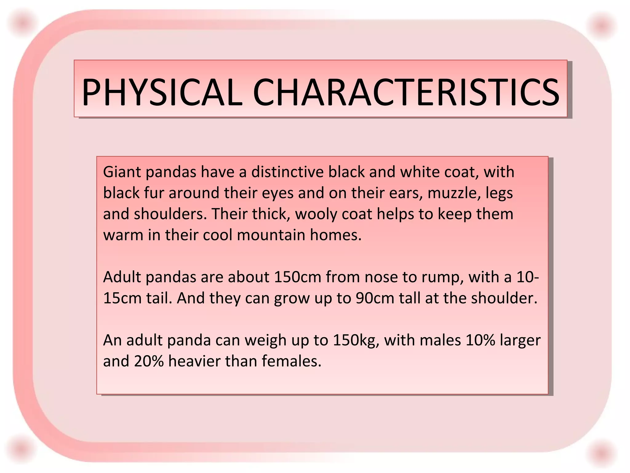 Panda | PPT