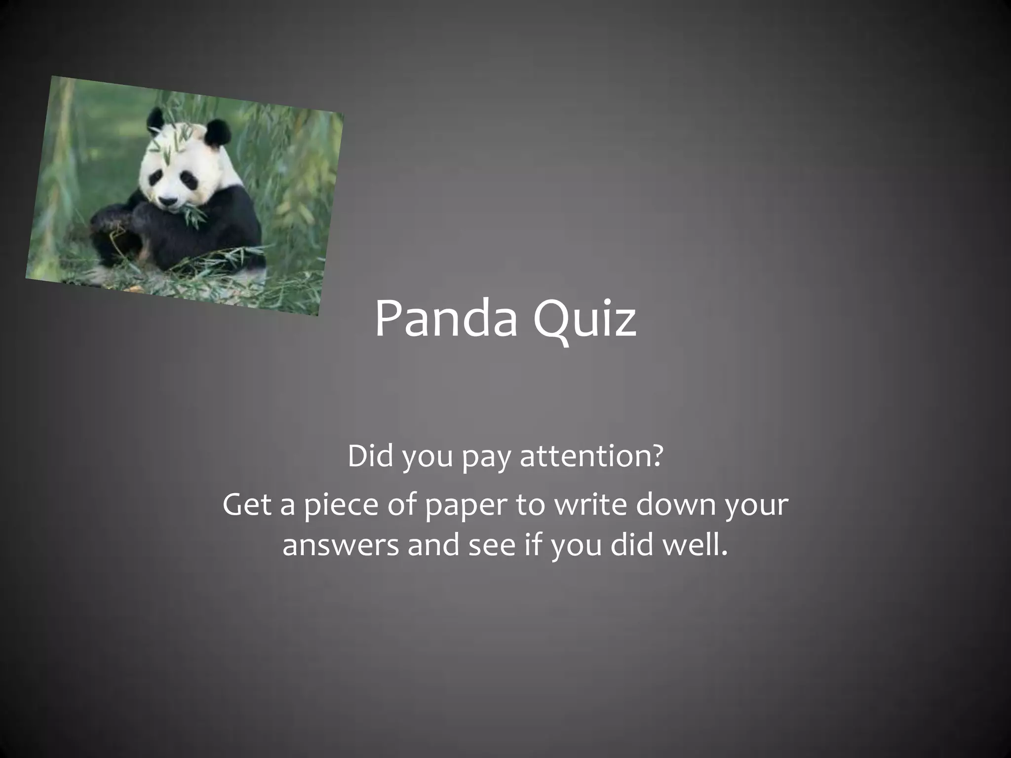 Panda quiz powerpoint | PPT