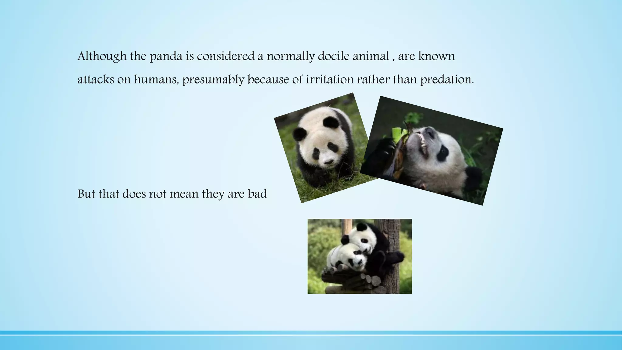 Pandas | PPT