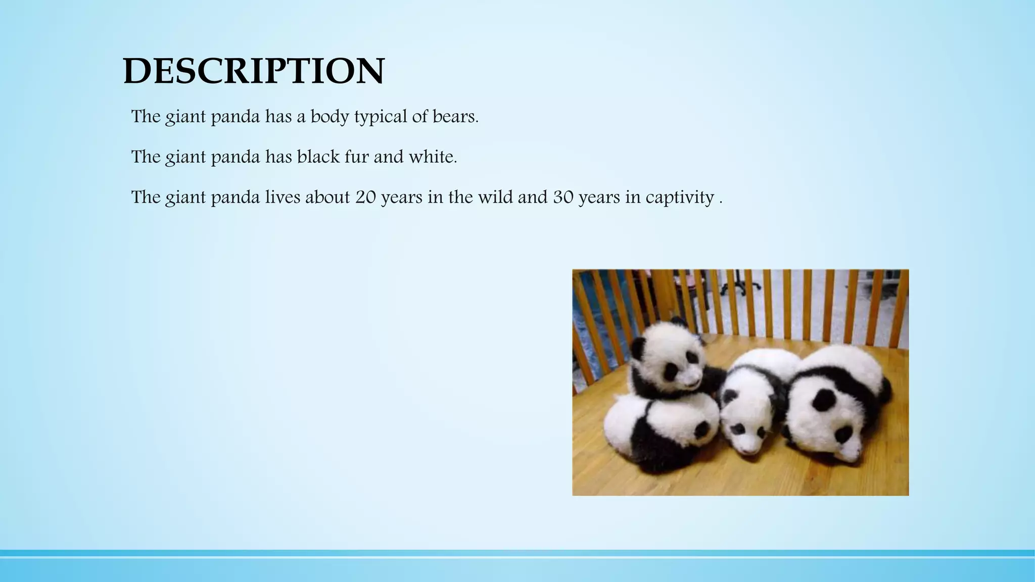 Pandas | PPT