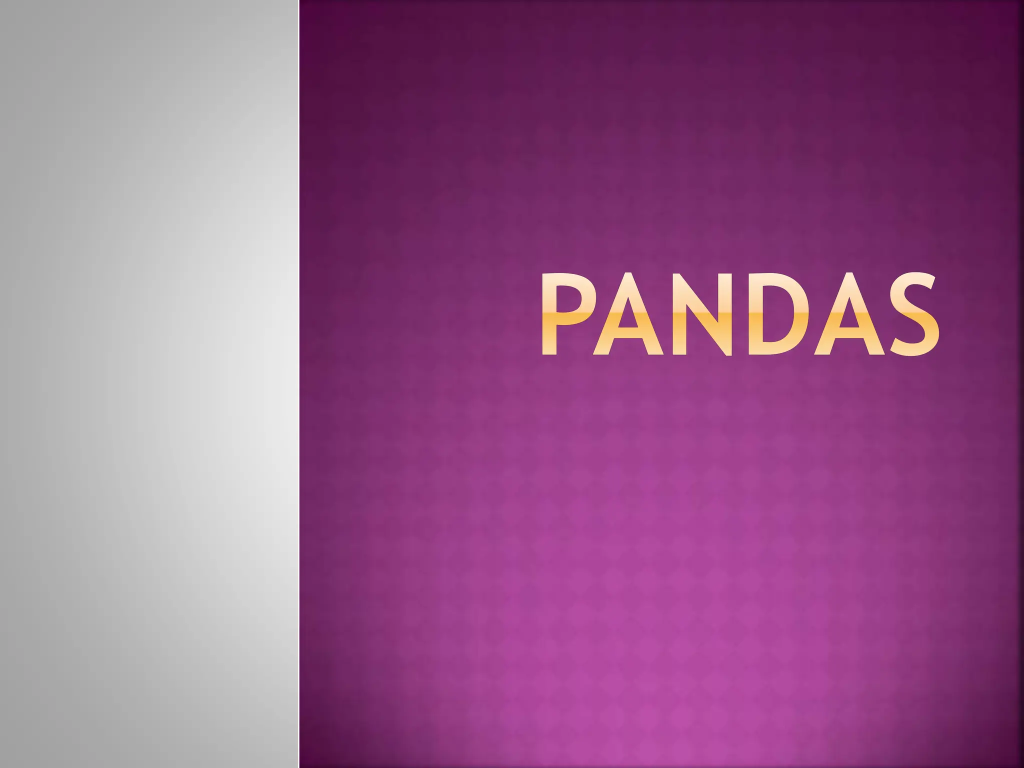 Presentation On Pandas In Detail Pptx 