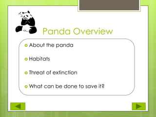 Panda’s | PPTX