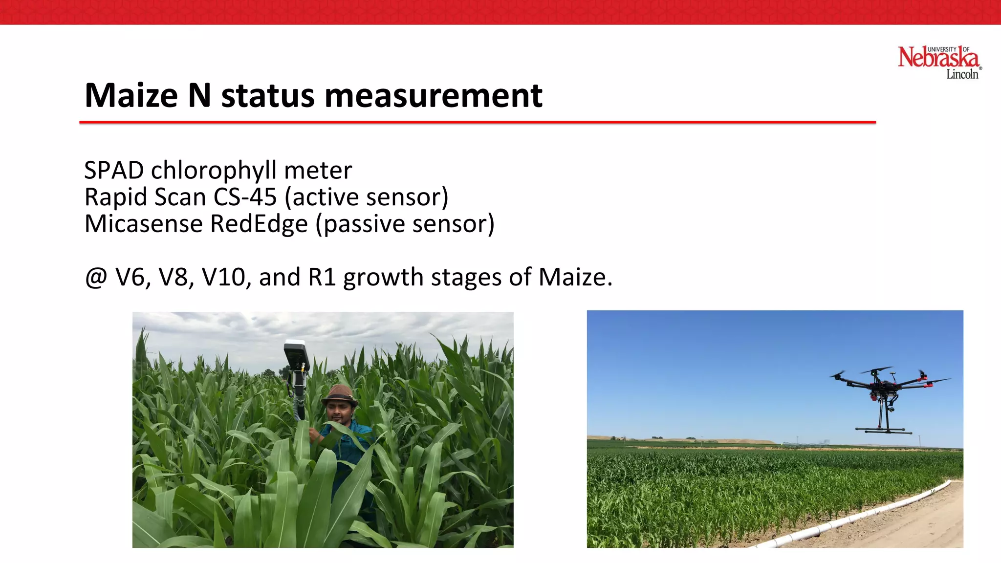Soil and nitrogen management in maize | PPT