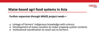 Soil and nitrogen management in maize | PPT