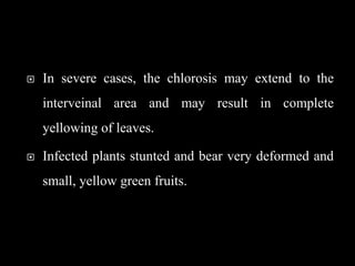 Pandeeswari p 2015021091 | PPTX