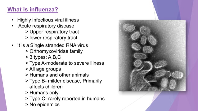 Pandemic influenza.pptx | Infectious Diseases | Diseases and Conditions
