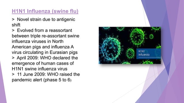 Pandemic influenza.pptx | Infectious Diseases | Diseases and Conditions