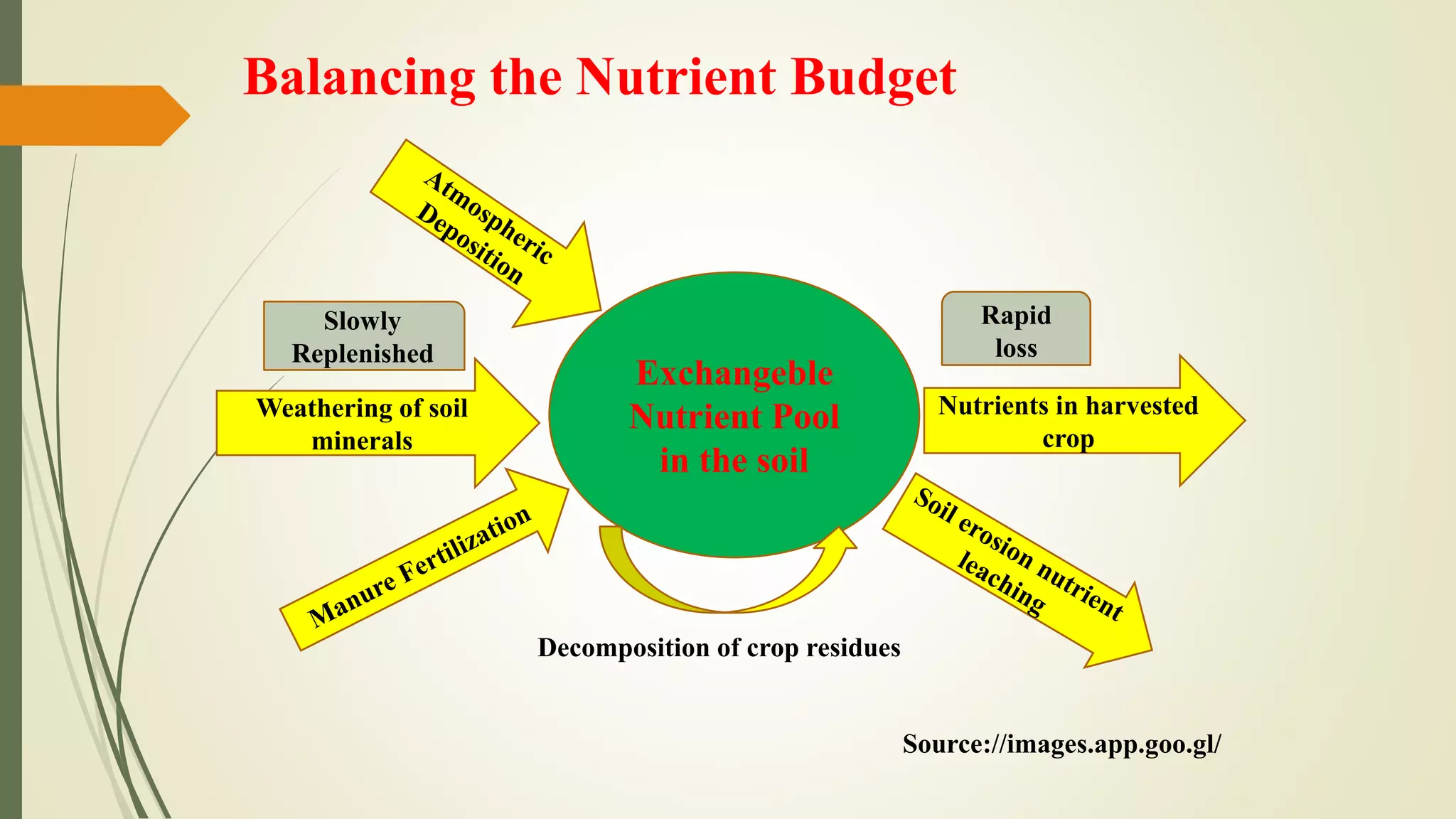 Soil Health And Nutrient Budgeting As Influenced By Different Cropping ...