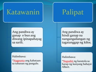 Powerpoint | PPT