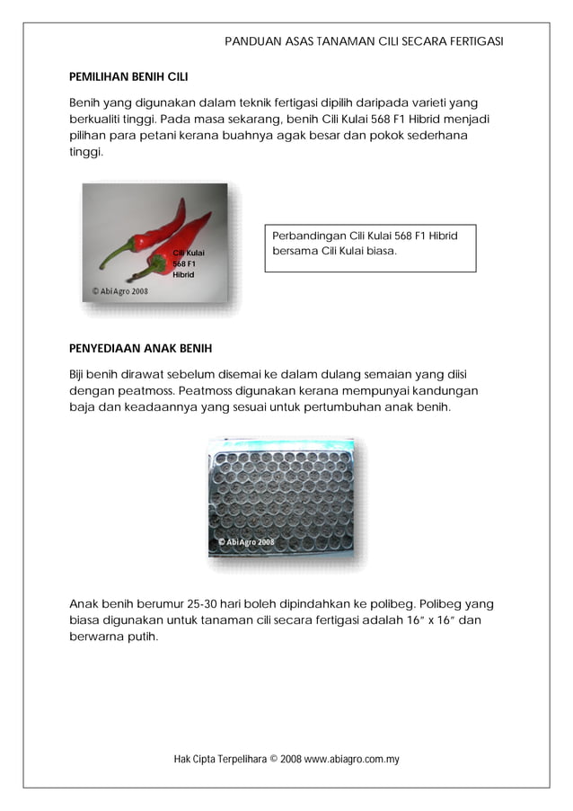 Panduan Asas Tanaman Cili Secara Fertigasi | PDF