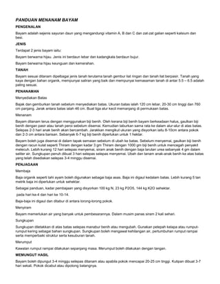 Panduan Menanam Bayam | PDF