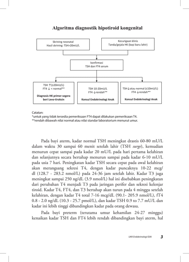 Panduan-Praktik-Klinis-Diagnosis-dan-Tata-Laksana-Hipotiroid-Kongenital ...