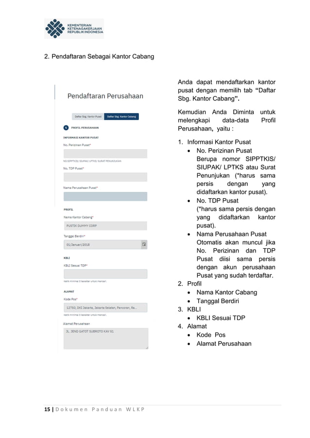 Panduan WLKP 1.0.0 Kemnaker | PDF