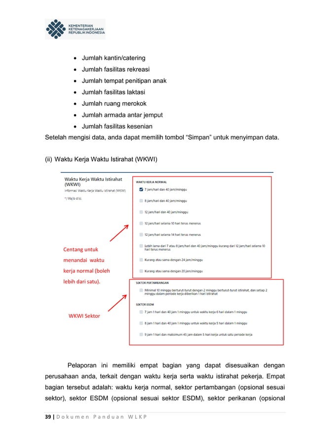 Panduan WLKP 1.0.0 Kemnaker | PDF