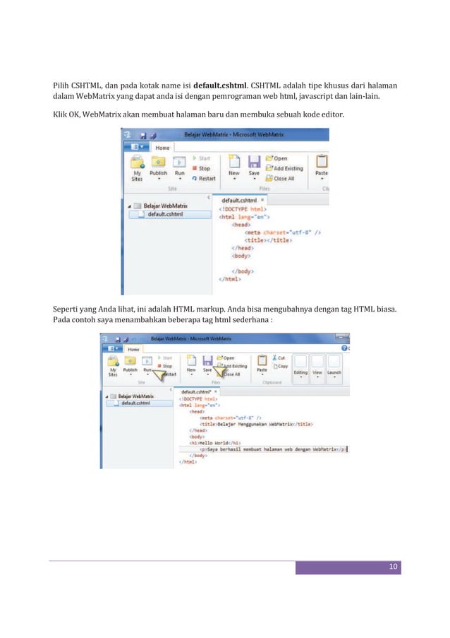 Panduan Dasar Web Matrix | PDF