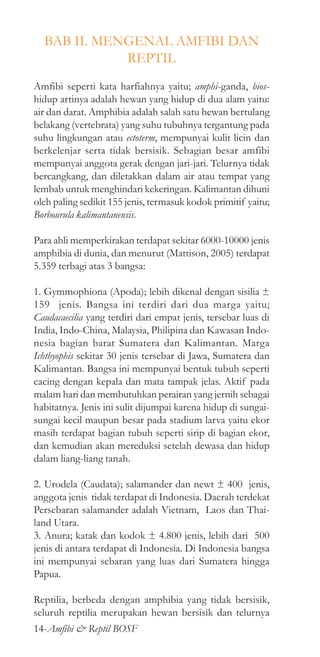 Panduan herpetofauna beratus_kalteng | PDF