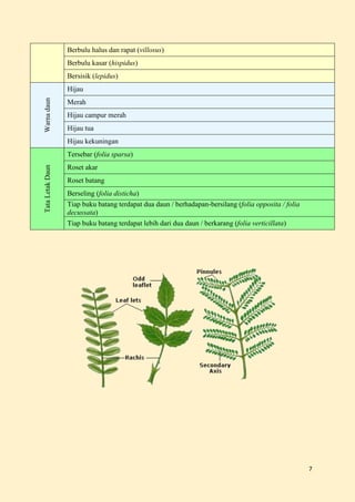 Panduan lapangan foraging adventure | PDF