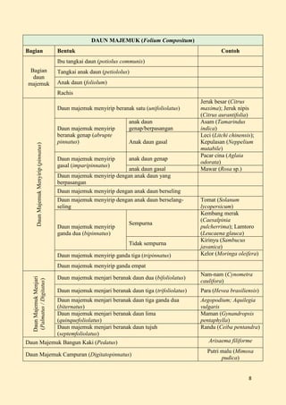 Panduan lapangan foraging adventure | PDF