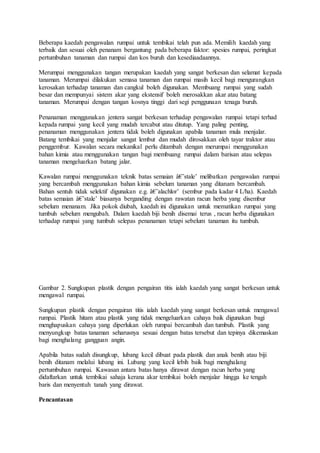Panduan menanam jagung | DOCX
