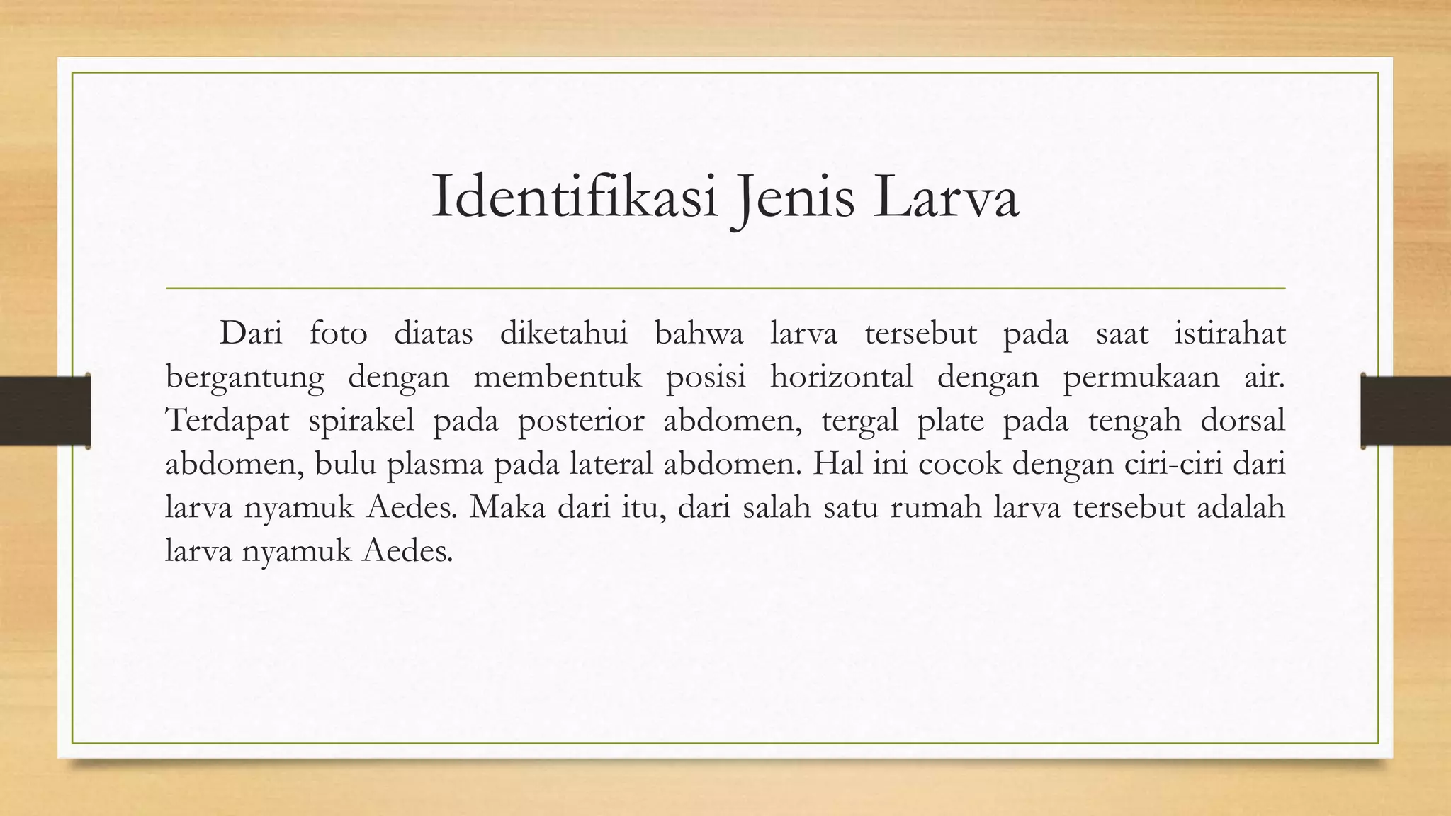 panduan pengamatan JENTIK NYAMUK .pptx