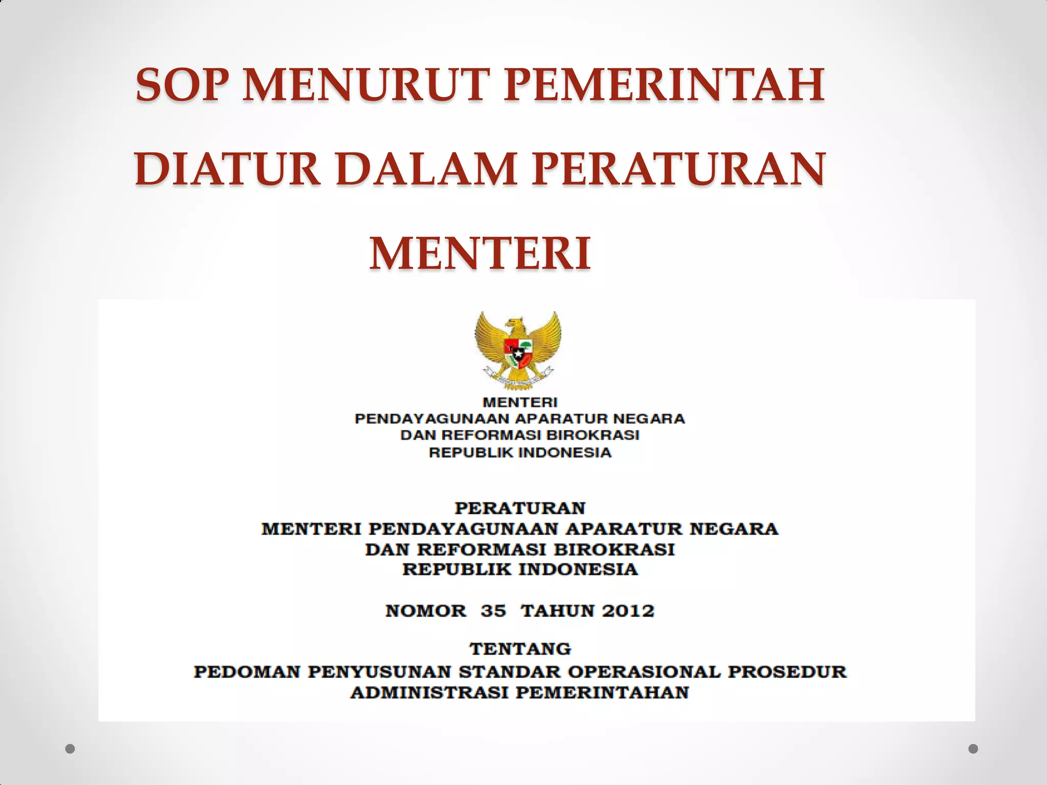 Panduan Penyusunan SOP | PDF