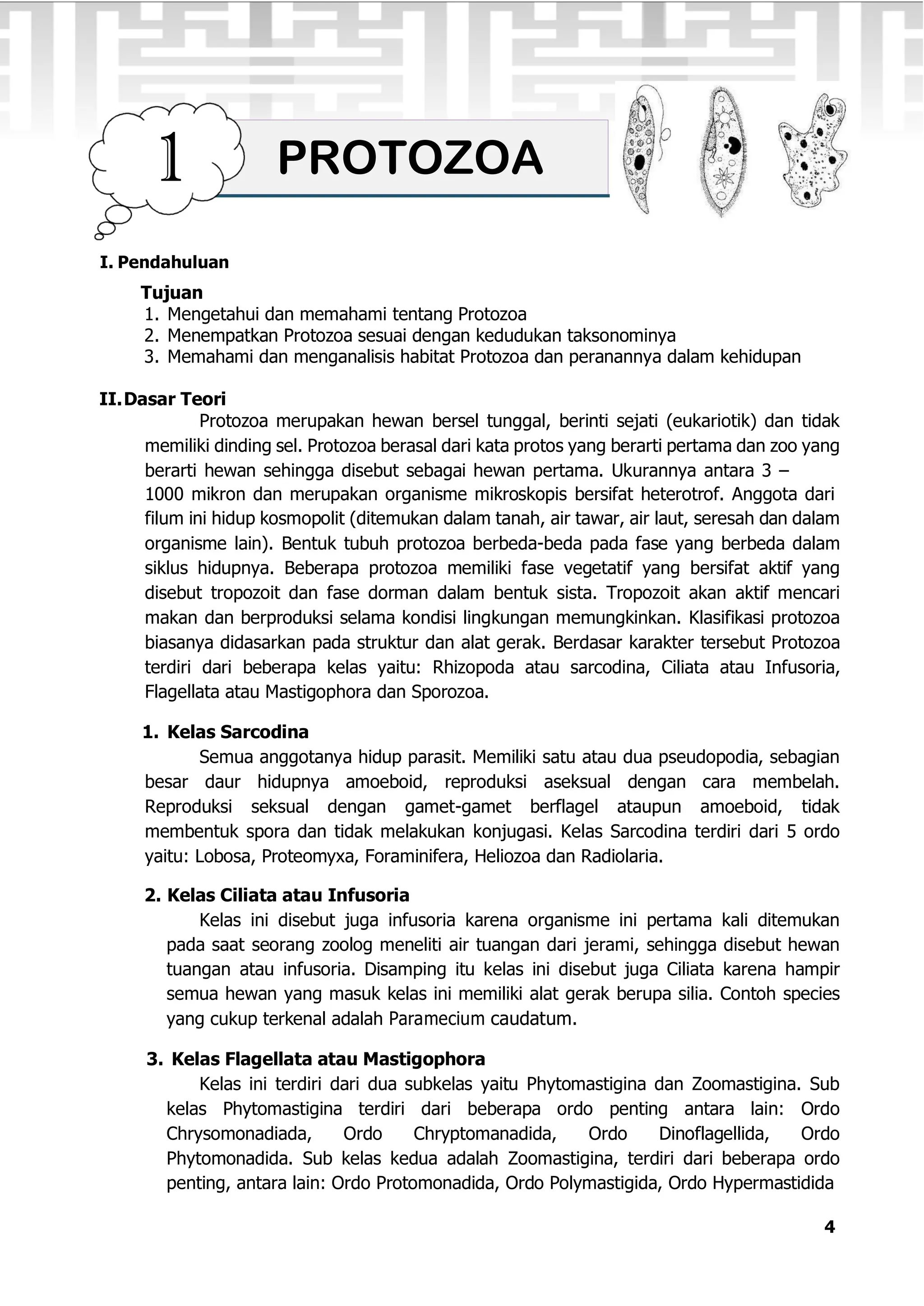 Panduan Praktikum Zoologi Avertebrata - jurusan biologi | PDF