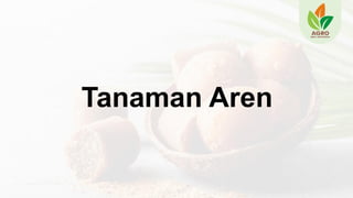 Panduan Tanaman Aren Lengkap Dari Jenis Aren Genjah dan Aren Dalam | PDF
