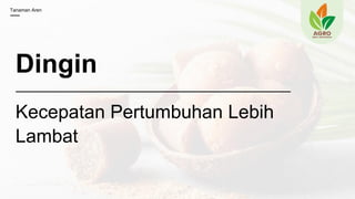 Panduan Tanaman Aren Lengkap Dari Jenis Aren Genjah dan Aren Dalam | PDF