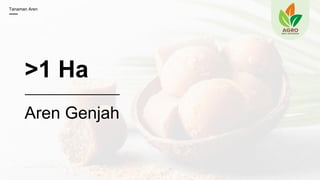 Panduan Tanaman Aren Lengkap Dari Jenis Aren Genjah dan Aren Dalam | PDF
