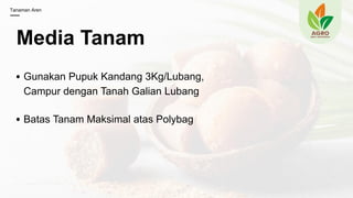 Panduan Tanaman Aren Lengkap Dari Jenis Aren Genjah dan Aren Dalam | PDF