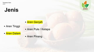 Panduan Tanaman Aren Lengkap Dari Jenis Aren Genjah dan Aren Dalam | PDF