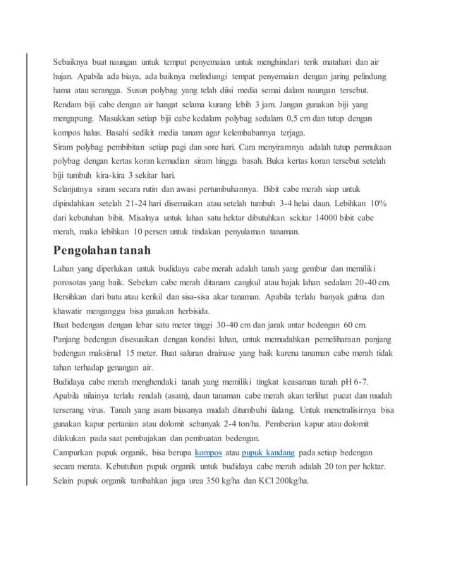 Panduan umum budidaya cabe merah | PDF Panduan umum budidaya cabe merah | PDF