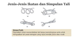 PANDU PUTERI Simpulan tali.pptx