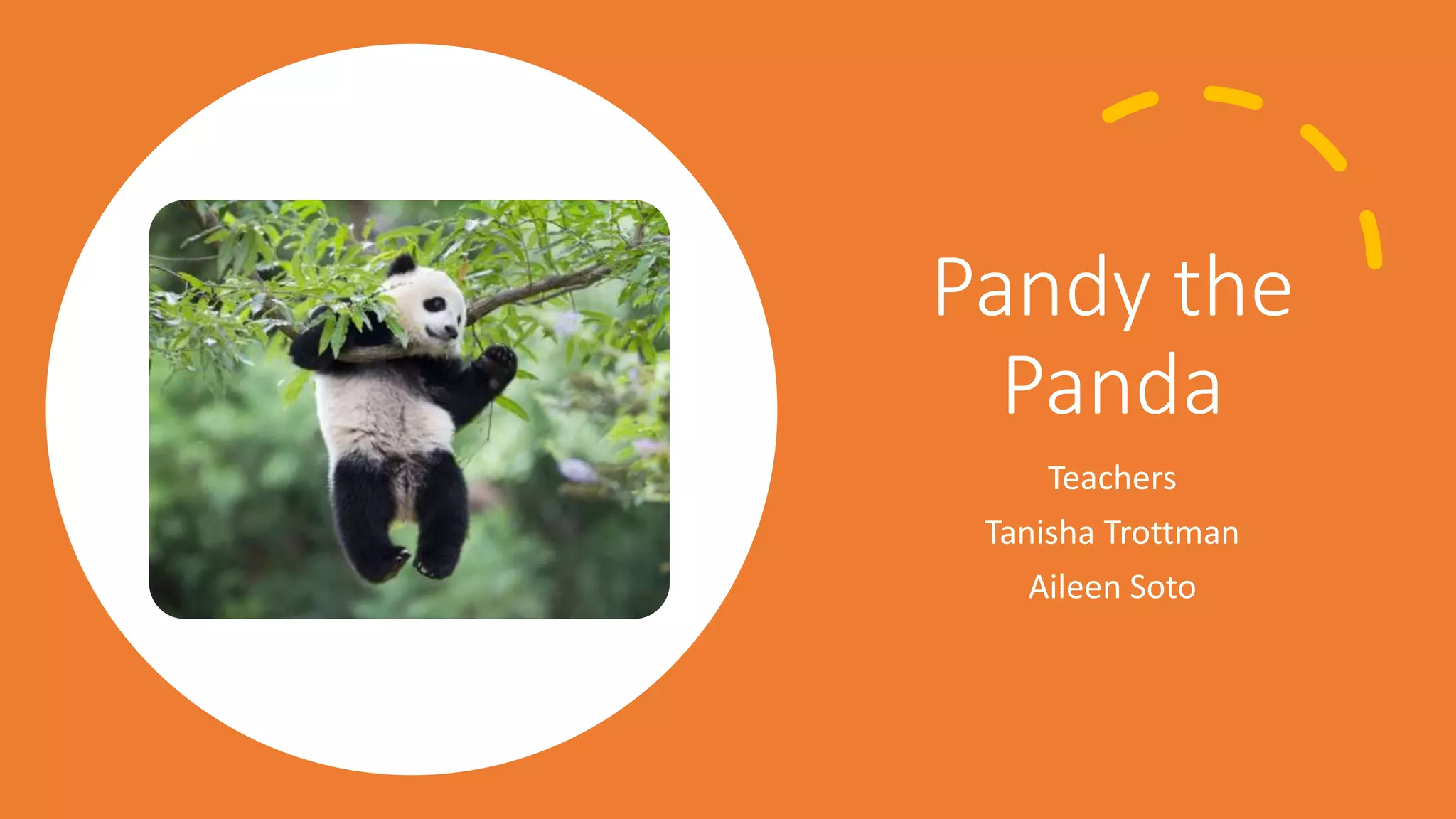 Pandy The Panda Kinder | PPT