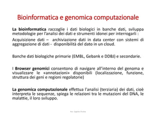 Panel 3-pirotta-sanità-e-genetica-27.10.17