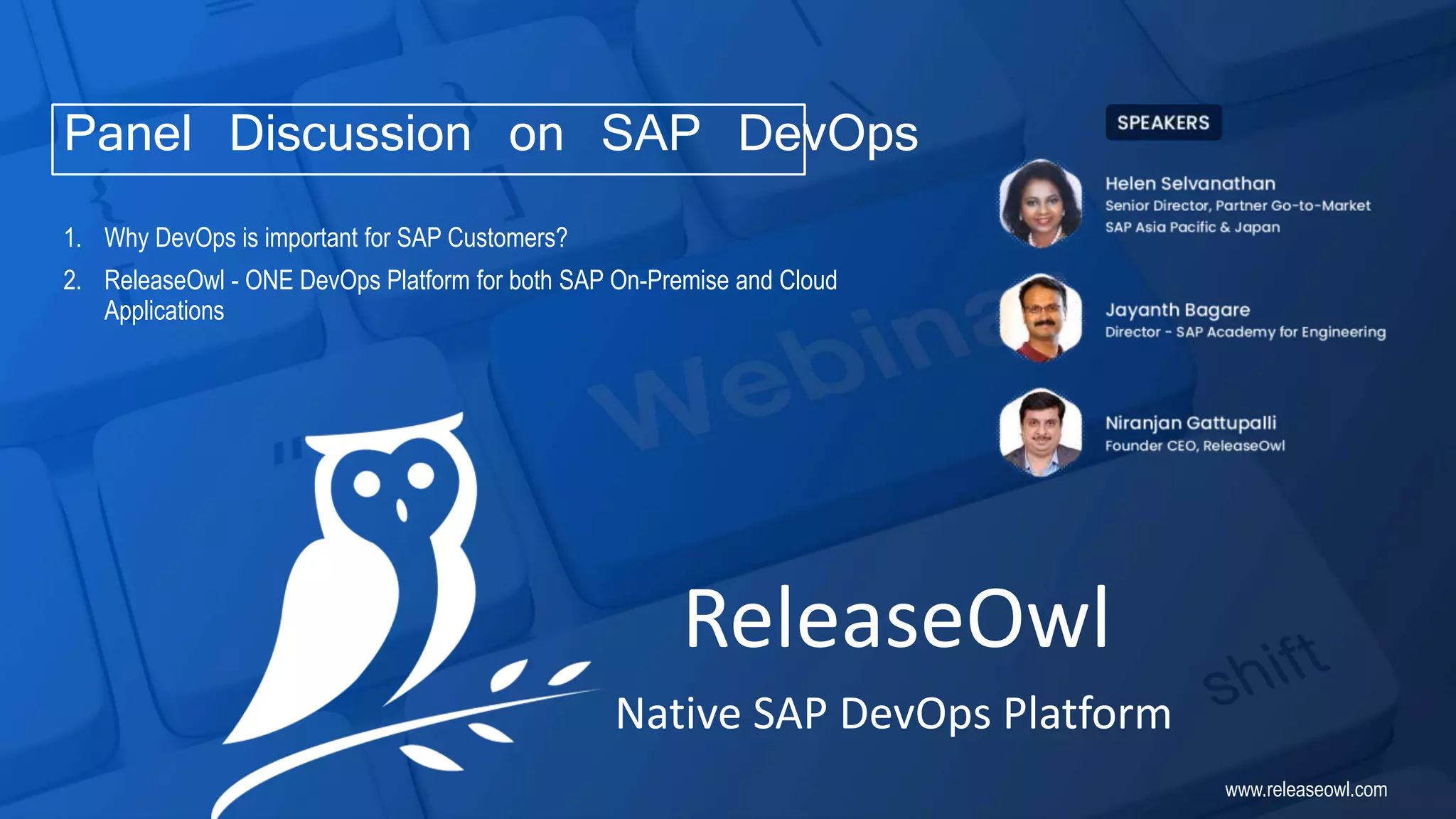 Panel Discussion SAP DevOps - ReleaseOwl | PPT | Free Download