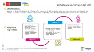 panel_5_-_mabel_herrera-cuna_mas_peru.pdf
