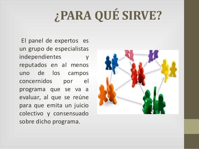Panel de experto (1)