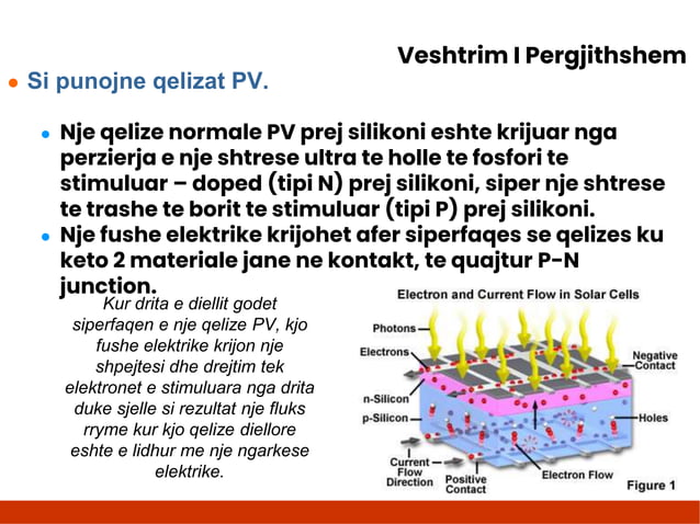 Panelet Diellore.pptx