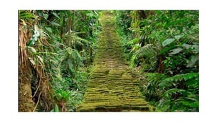 panel fotografico lugares turisticos de Amazonas | PPT