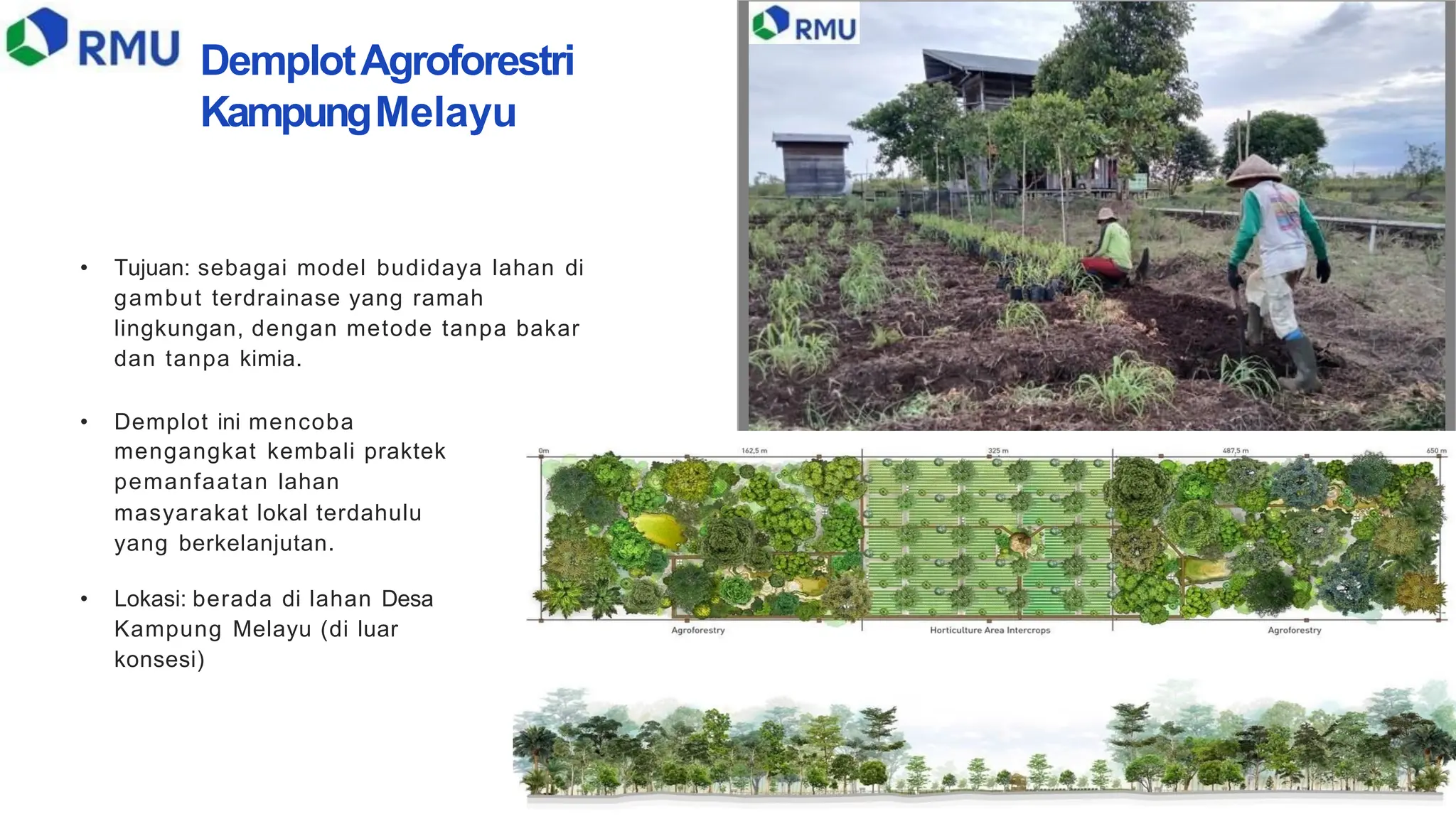 Panelis 3 - CEO PT Rimba Makmur Utama.pdf
