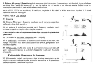 dall' azione alla comunicazione | PDF