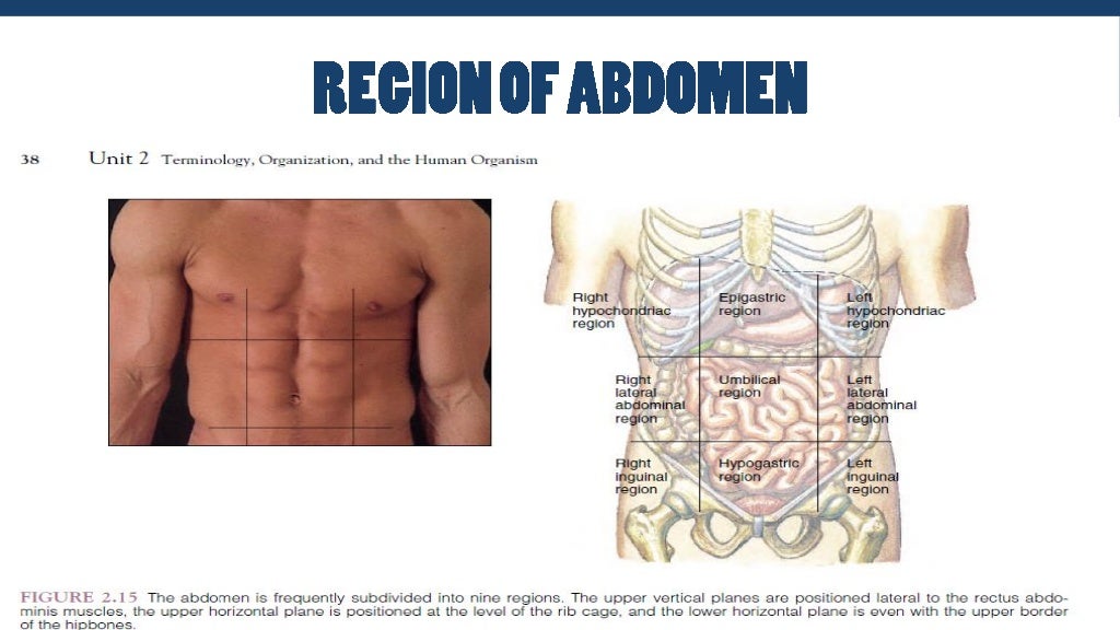 PANEL MODUL ACUTE ABDOMINAL PAIN (NYERI AKUT ABDOMEN)