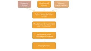 PANEL MODUL BERCAK PUTIH BLOK TROPIS FAKULTAS KEDOKTERAN UMI | PPTX