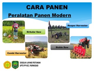 Kegiatan Panen pada Tanaman Padi Sawah.pptx